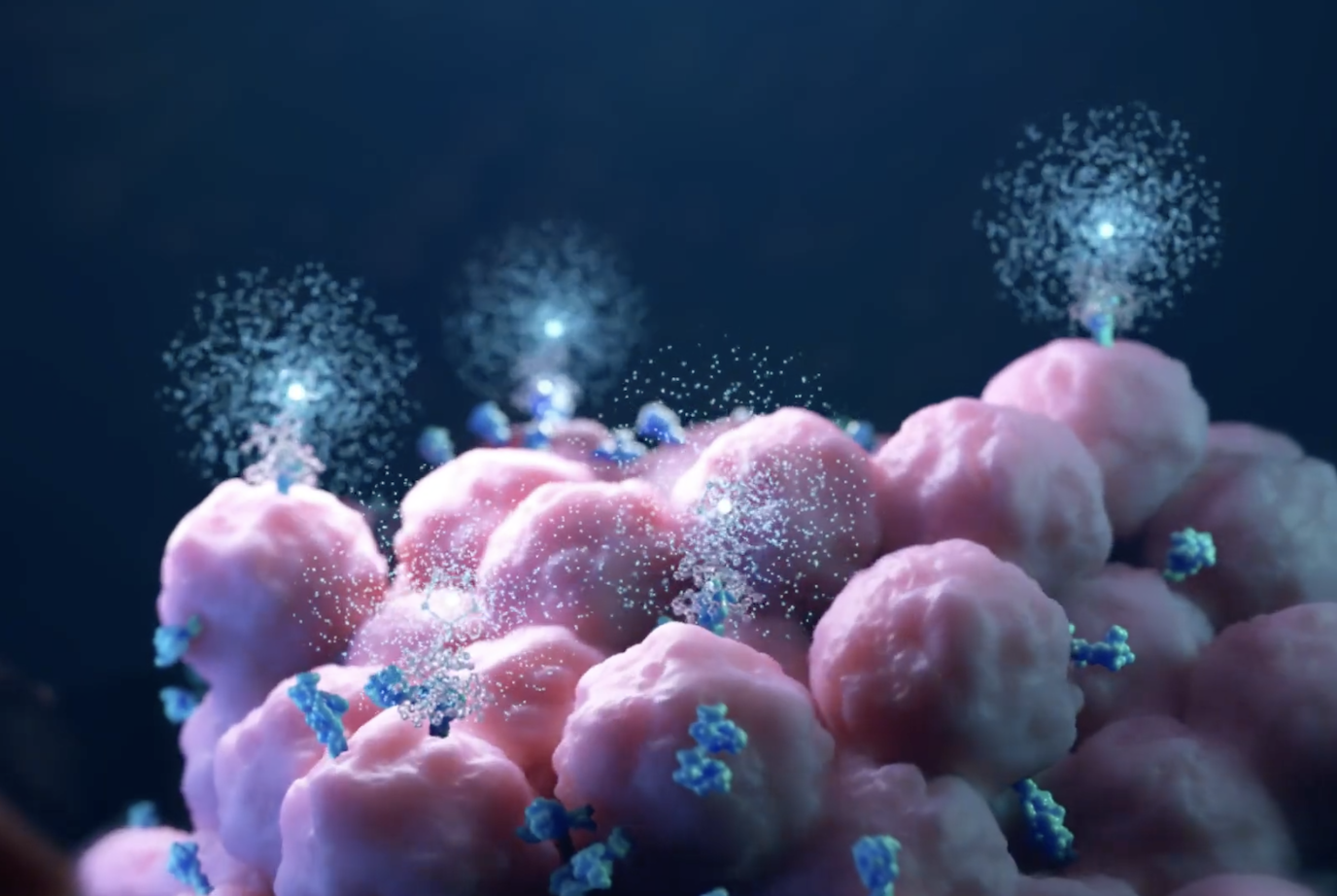 RLTCare Hub | RLTCare